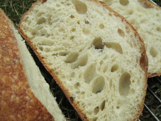 Motherdough 70 – Northwest Sourdough