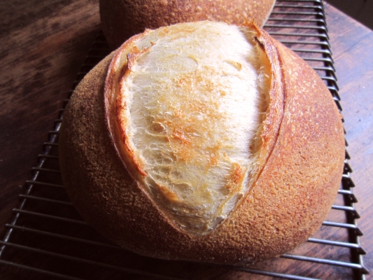Motherdough 70 – Northwest Sourdough